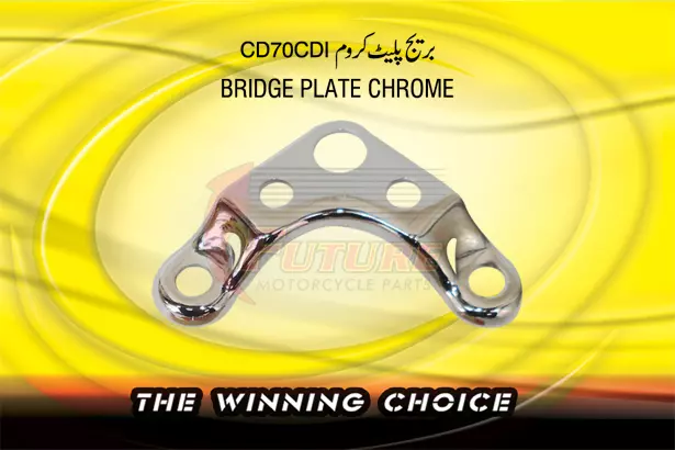BRIDGE-PLATE-CHROME - Future Auto Parts